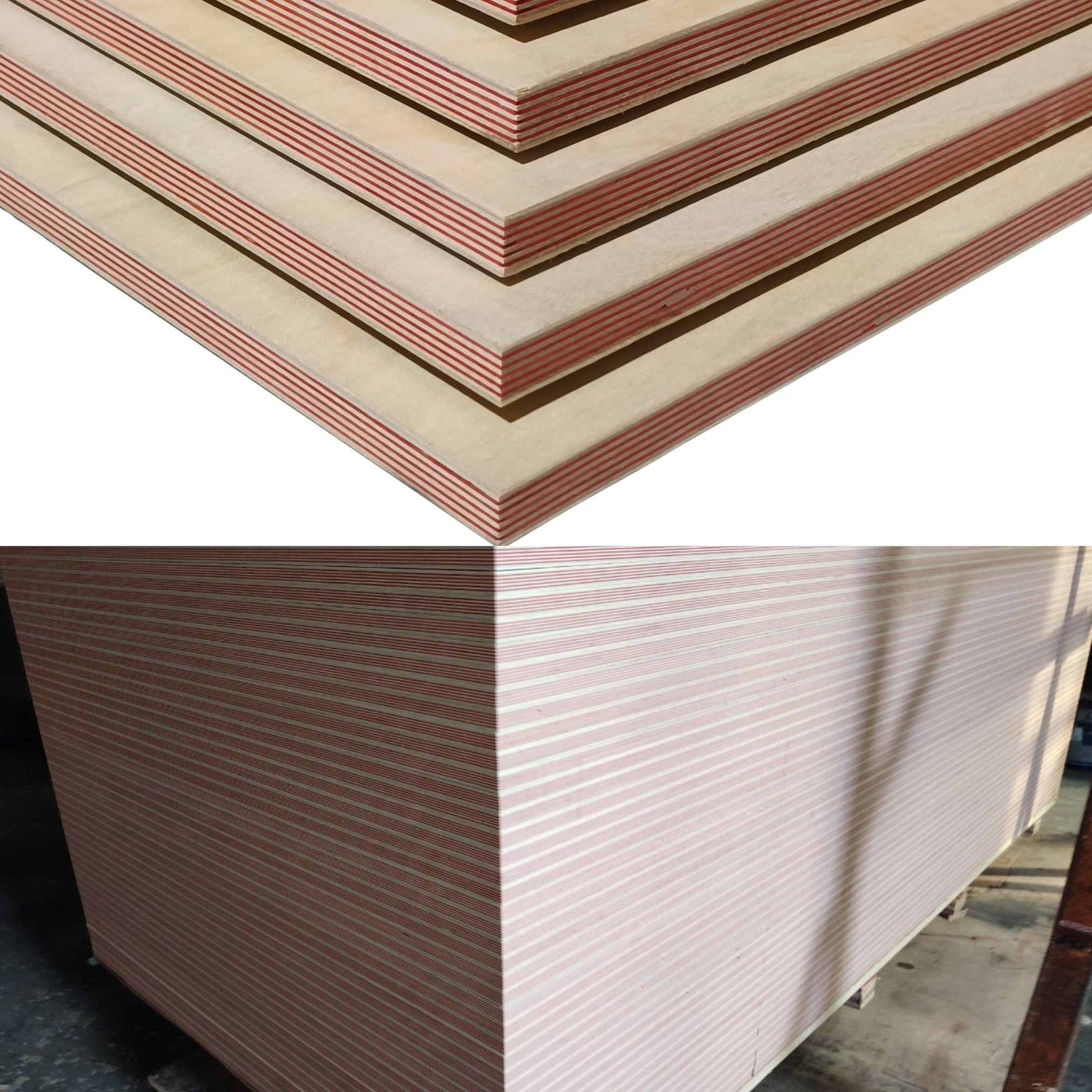 Red Birch Plywood Full Panel – My Lifeview Sdn Bhd